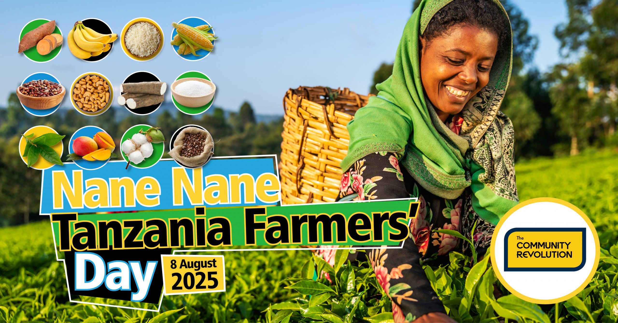 🌾Nane Nane Day 2025: Tanzania Farmer's Day - Sowing Seeds of Change ...